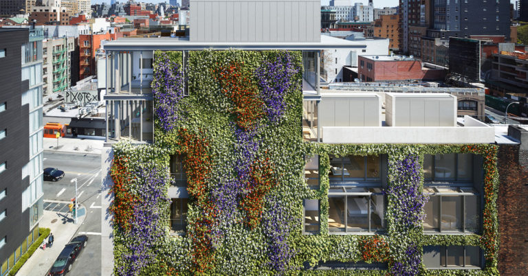 Green Walls: Enhancing Design and Sustainability | Omrania