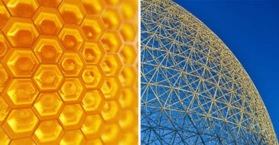 Eco-City Planning: Unveiling Organic Structures Insights | Omrania